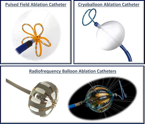 Pulsed Field Ablation To Treat Atrial Fibrillation Autonomic Nervous