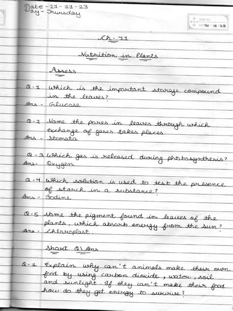 Class 7 Sci Ch 11 Pdf