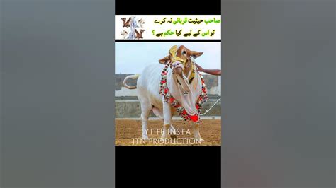 Qurbani Na Kerne Wale L Hajj 2023 L Qurbani 2023 L Jtn Production L