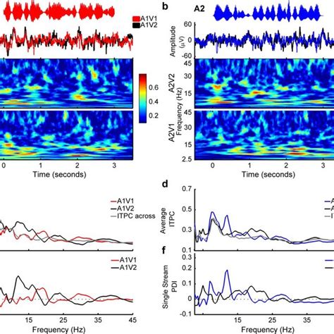 Auditory Visual Temporal Coherence Enhances Neural Coding In Auditory Download Scientific