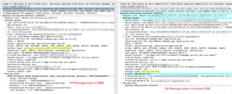 Kamailio Nick Vs Networking