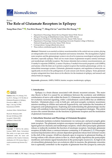 Pdf The Role Of Glutamate Receptors In Epilepsy