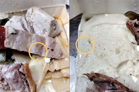 好噁！桃園知名燒臘店驚見活蛆蠕動 衛生局稽查14項缺失 上報 焦點