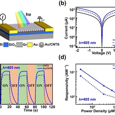 A Schematic Illustration Of Aucnts And Graphene Based Hybrid