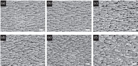 SEM Images Of Ag Nanorods Deposited At An Incidence Angle Of 85 And