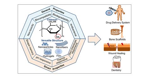 Chitosan Based Smart Biomaterials For Biomedical Applications Progress