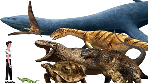 Largest Prehistoric Reptiles Size Comparison Reptile Keeper