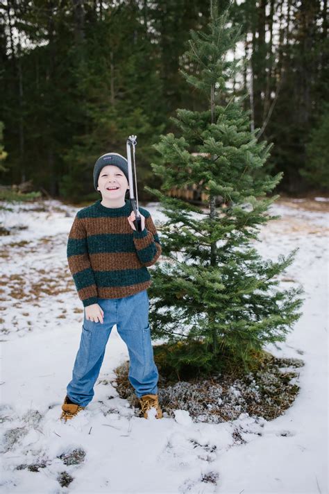 How To Choose The Best Real Sparse Christmas Tree