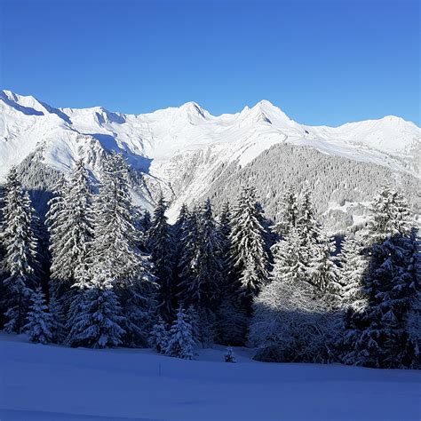 Le Mystère Des Mines Darêches Beaufort Teloa