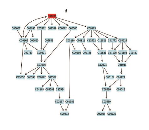 A Summary Of Pathway Analysis B Glycine Serine And Threonine