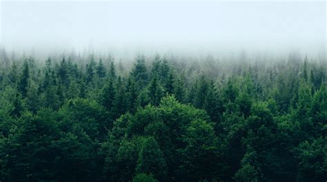 创成式填充背景