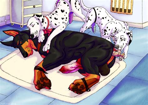 Rule 34 Anatomically Correct Anthro Balls Bondage Bound Canine Canine