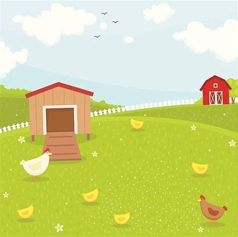 Chicken Coop Illustrations Royalty Free Vector Graphics And Clip Art