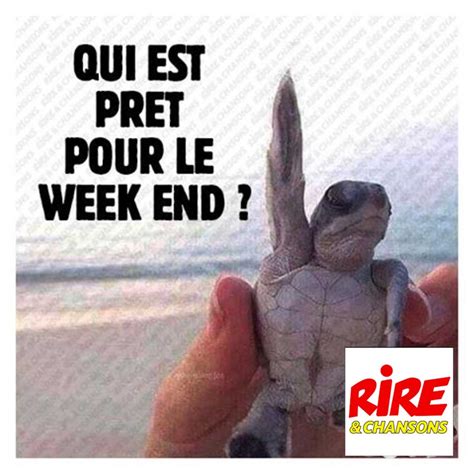 Le top 100 des Blagues de Rire Chansons le week end Images drôles