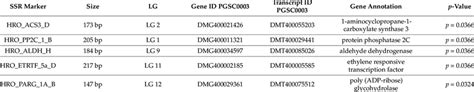 Ssr Markers Significantly Associated With Drought Tolerance In Potato