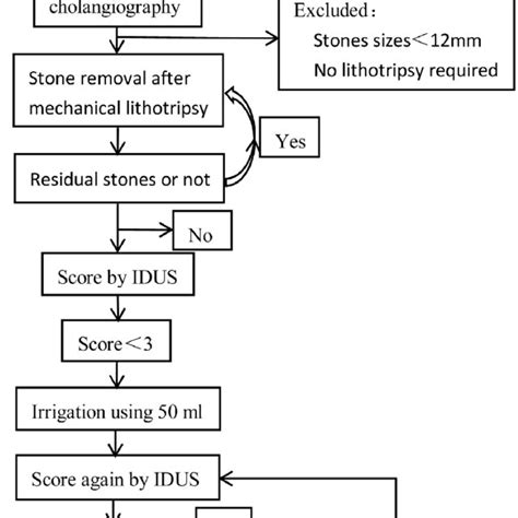 Protocol Of Evaluation And Irrigation Procedures Cbd Common Bile Download Scientific Diagram