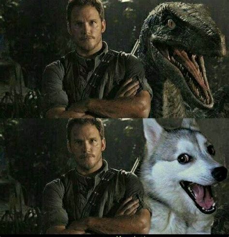 Ahorita No Starlord Meme Subido Por Curritoalex Memedroid