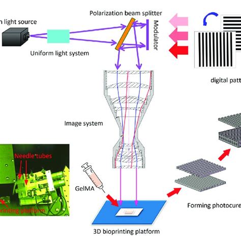 Schematic Of 3d Printer And Printing Process Download Scientific Diagram