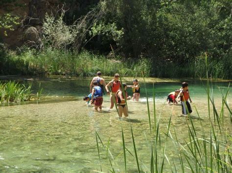 Razones Naturales Por Las Que Visitar El Alto Tajo