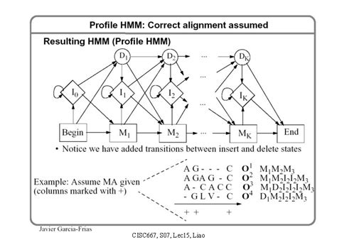 Cisc 667 Intro To Bioinformatics Spring 2007 Hidden