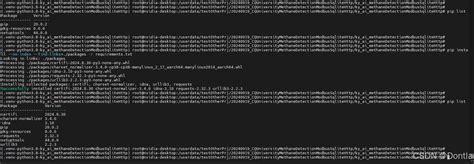 python虚拟环境怎么下载离线包文件（python venv、python离线包、python wheel、pip包安装文件、python
