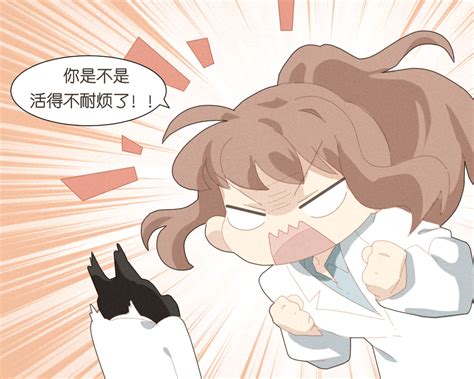 说了多少次师兄电脑里的小视频不能看 果壳 科技有意思