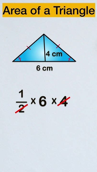 Find Area Of Triangle Shorts Shortvideo Viral Trending
