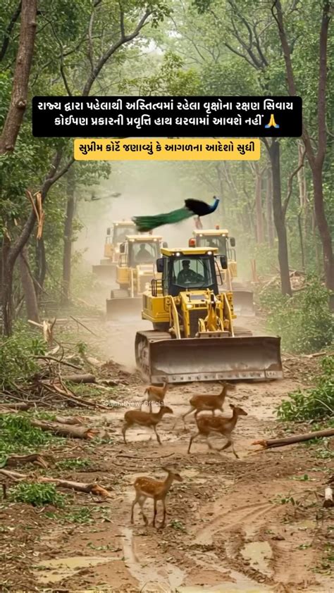 Gujarat News Official 🗞️ Gujaratnewsofficial • Instagram Photos And
