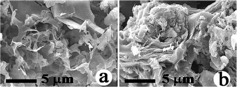 Sem Morphologies Of The Samples From Which The Unreacted Silicate Download Scientific Diagram