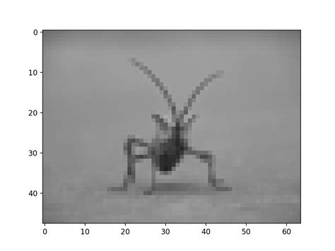 画像チュートリアルmatplotlib Pythonの可視化