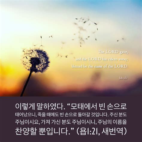 이렇게 말하였다 모태에서 빈 손으로 태어났으니 죽을 때에도 빈 손으로 돌아갈 것입니다 주신 분도 주님이시요 가져 가신