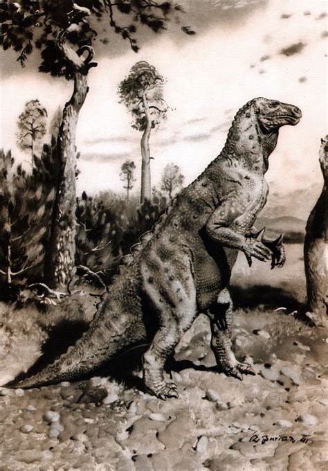 🔥 30 Iguanodon Wallpapers Wallpapersafari