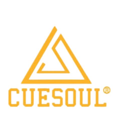 CUESOUL logo transparent PNG - StickPNG