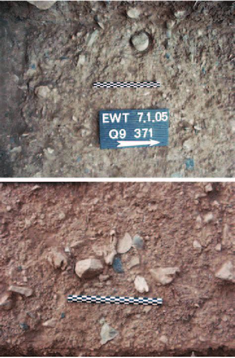 Pes Tle Frag Ments In Situ On An Early Natufian Liv Ing Sur Faces Download Scientific Diagram