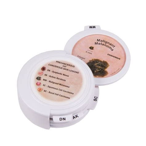 Precancerous And Cancerous Skin Lesions Model Sports Supports