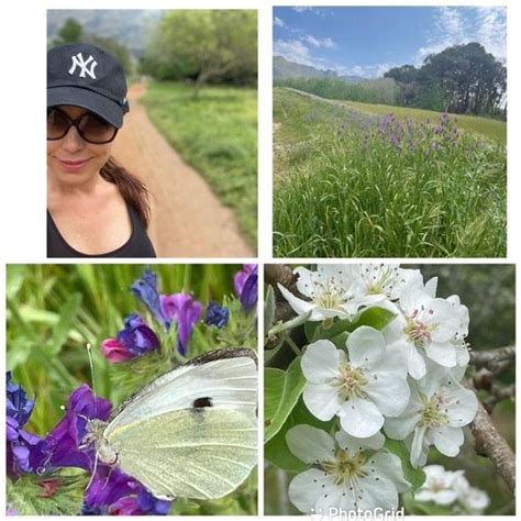 Simonne Wakefield Du Preez On Linkedin Such A Beautiful Area We Live In Constantia Cape