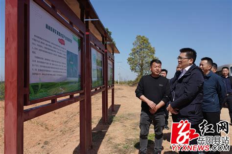 肖湘晖开展巡林巡河巡田并督导春耕生产与茶园建设等工作 岳阳县政府网
