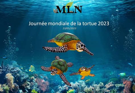 Journée mondiale de la tortue Mille Lieux Nature