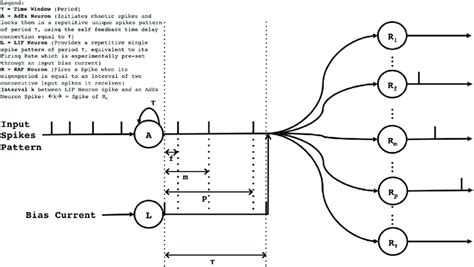 Neural Network Architecture Spikes Are Represented With Vertical Bars