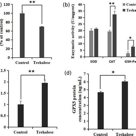 Isolation Of Sheep Eecs A Primary Cells Isolated From The Epididymis Download Scientific