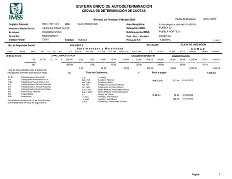 Enero IMSS SISTEMA ÚNICO DE AUTODETERMINACIÓN V 3 CÉDULA DE