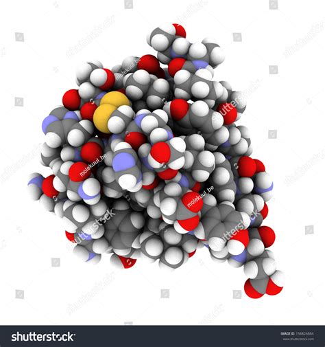 Insulin Peptide Hormone Chemical Structure Important Stock Illustration