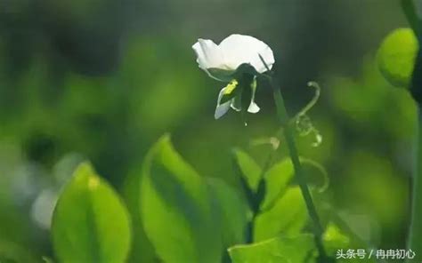 愛到深處無聲，情到深處無語 每日頭條