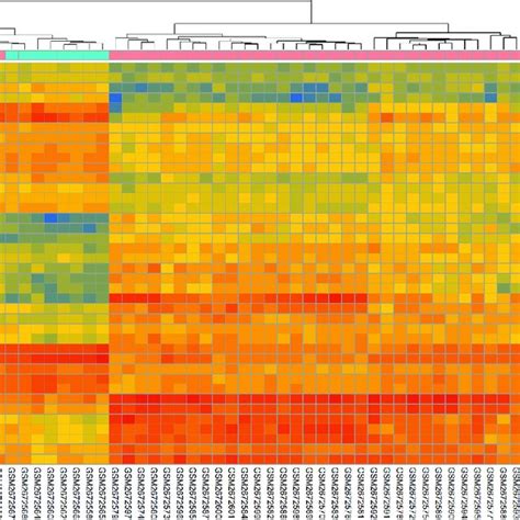 Heatmap Of Differentially Expressed Genes Degs In Gse13904 The
