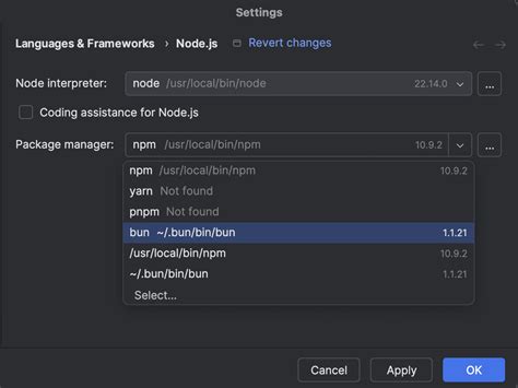 Bun Webstorm Documentation