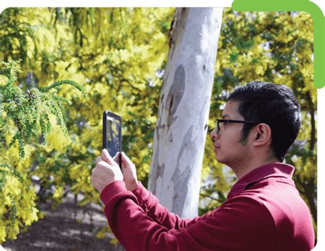 Diversity Arrays Technology Genotyping And Data Analysis Experts
