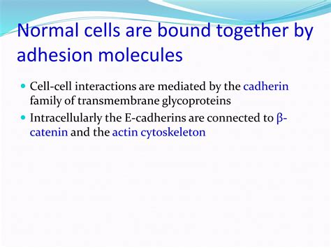 Epithelial And Mesenchymal Transition In Invasion And Metastasis Ppt
