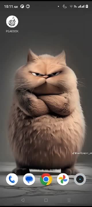 Android Mobileapplicationdevelopmrnt Firebase Firestore Amalka Rosa