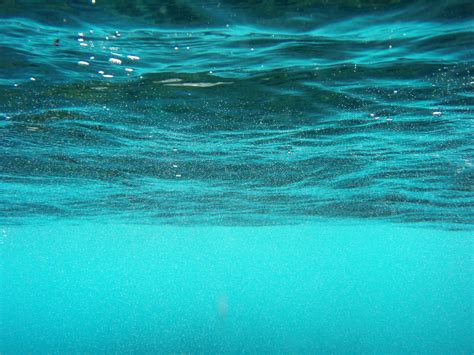 Fileunderwater World Wikipedia