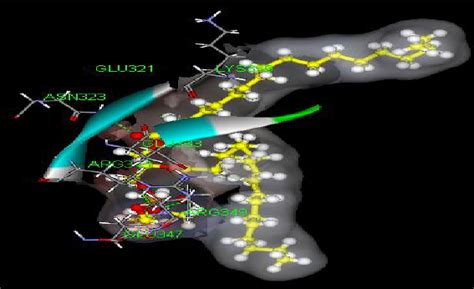 A Showing The Interaction Of Distearoylphosphatidylcholine With 2ggu Download Scientific